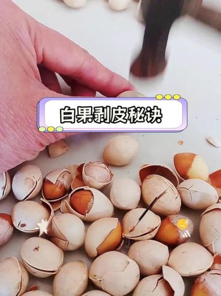 新鲜银杏果怎么吃_新鲜银杏果怎么去皮-第1张图片-山城妙识 新鲜银杏果怎么吃_新鲜银杏果怎么去皮-第1张图片-山城妙识