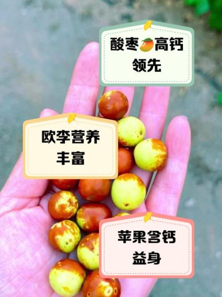 含钙量高的水果有哪些_怎么选-第1张图片-山城妙识