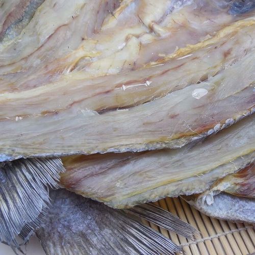 鮸鱼多少钱一斤_鮸鱼价格行情-第1张图片-山城妙识 鮸鱼多少钱一斤_鮸鱼价格行情-第1张图片-山城妙识