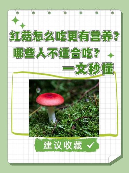 大红菇的功效与作用_大红菇怎么吃最营养-第3张图片-山城妙识 大红菇的功效与作用_大红菇怎么吃最营养-第3张图片-山城妙识