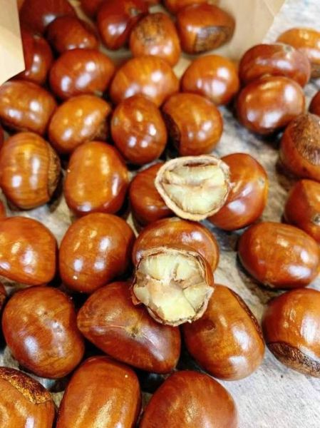 糖炒栗子是糖炒进栗子里吗_糖炒栗子怎么入味-第2张图片-山城妙识 糖炒栗子是糖炒进栗子里吗_糖炒栗子怎么入味-第2张图片-山城妙识