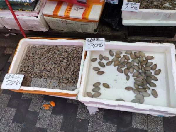 死花甲死了什么样子_死花甲辨别方法-第3张图片-山城妙识 死花甲死了什么样子_死花甲辨别方法-第3张图片-山城妙识