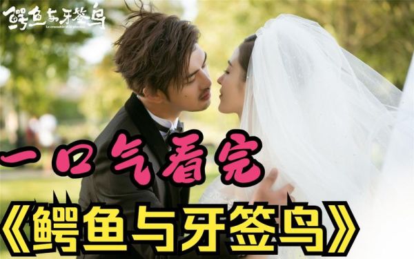 鳄鱼与牙签鸟剧情介绍_结局是什么-第3张图片-山城妙识