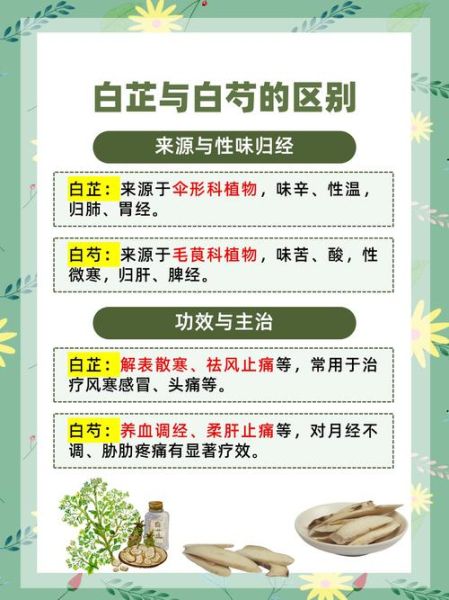 白芷和什么搭配祛斑美白_白芷祛斑美白配方-第2张图片-山城妙识