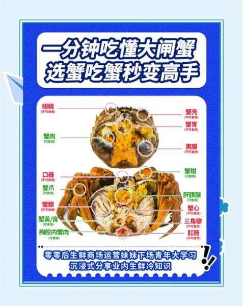 大闸蟹养殖技术_大闸蟹养殖图片怎么看懂-第1张图片-山城妙识 大闸蟹养殖技术_大闸蟹养殖图片怎么看懂-第1张图片-山城妙识