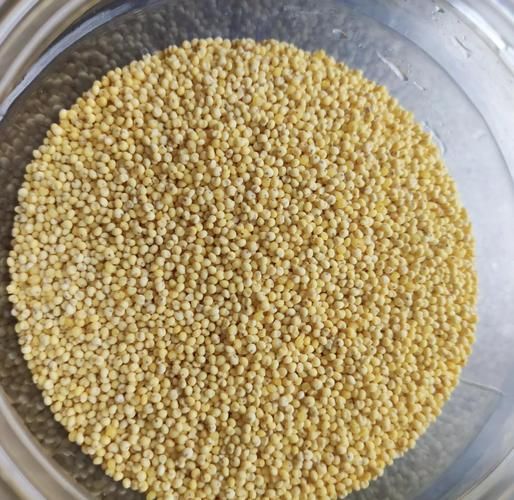 黄米年糕怎么做_黄米年糕的家常做法-第2张图片-山城妙识 黄米年糕怎么做_黄米年糕的家常做法-第2张图片-山城妙识