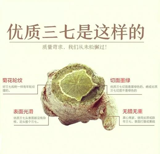 三七图片大全怎么找_三七图片欣赏技巧-第1张图片-山城妙识