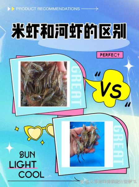 虾米解说大全在哪看_虾米解说怎么下载-第2张图片-山城妙识