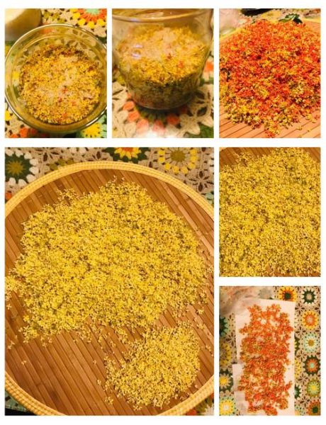 糖桂花怎么蒸_糖桂花做法大全蒸熟-第2张图片-山城妙识 糖桂花怎么蒸_糖桂花做法大全蒸熟-第2张图片-山城妙识