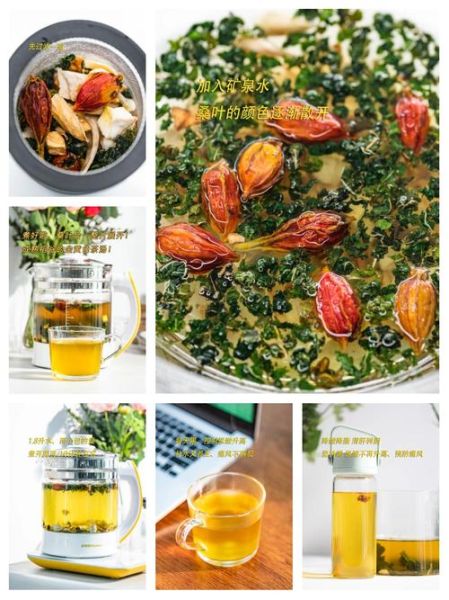 菊苣根降尿酸是骗局_菊苣根降尿酸有没有科学依据-第2张图片-山城妙识