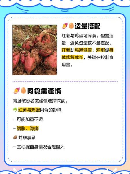 红薯和鸡蛋能一起吃吗_红薯鸡蛋同食禁忌-第1张图片-山城妙识
