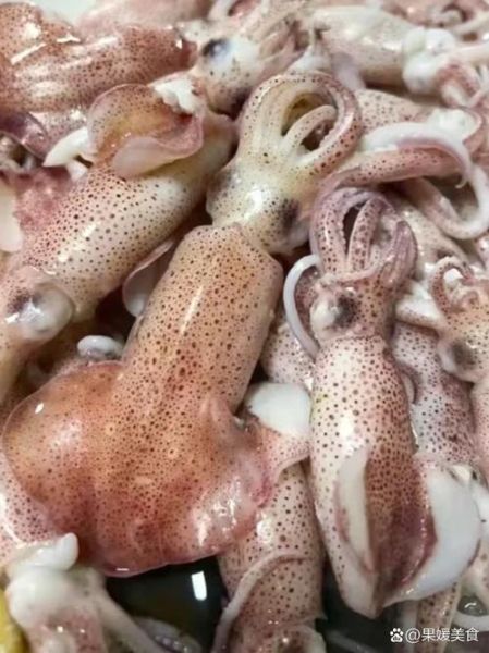 小海兔是什么东西_小海兔和鱿鱼区别-第3张图片-山城妙识