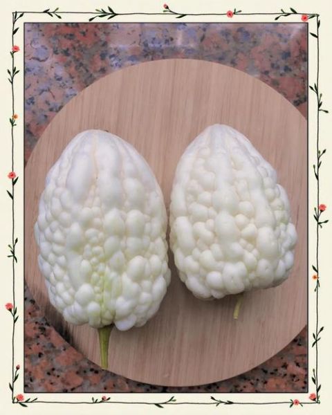 白苦瓜怎么炒好吃_白苦瓜的功效与作用-第1张图片-山城妙识