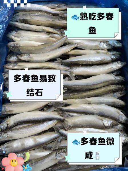 多春鱼是淡水鱼吗_多春鱼产地在哪里-第3张图片-山城妙识 多春鱼是淡水鱼吗_多春鱼产地在哪里-第3张图片-山城妙识