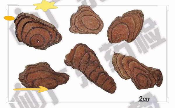 鸡血藤图片长什么样_如何辨别真假鸡血藤-第3张图片-山城妙识