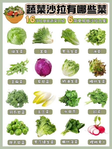 蔬菜沙拉食材怎么选_蔬菜沙拉食材有哪些-第2张图片-山城妙识 蔬菜沙拉食材怎么选_蔬菜沙拉食材有哪些-第2张图片-山城妙识