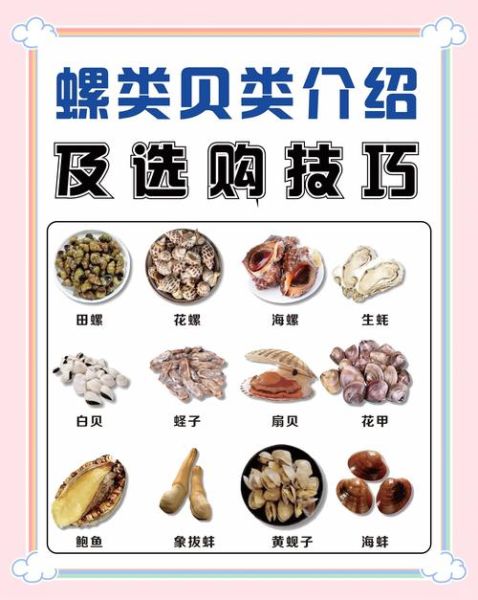 海鲜贝类有哪些_贝类怎么挑选才新鲜-第1张图片-山城妙识