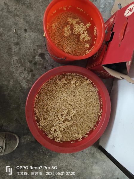 传统黄豆酱怎么做_黄豆酱发酵多久能吃-第3张图片-山城妙识