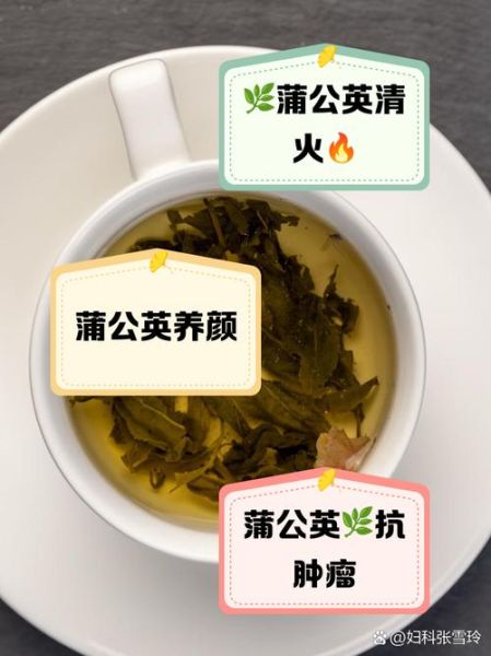 喝蒲公英茶有什么好处和坏处_蒲公英茶副作用有哪些-第1张图片-山城妙识
