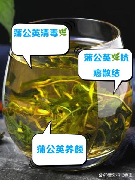 喝蒲公英茶有什么好处和坏处_蒲公英茶副作用有哪些-第3张图片-山城妙识
