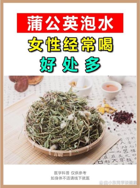 喝蒲公英茶有什么好处和坏处_蒲公英茶副作用有哪些-第2张图片-山城妙识