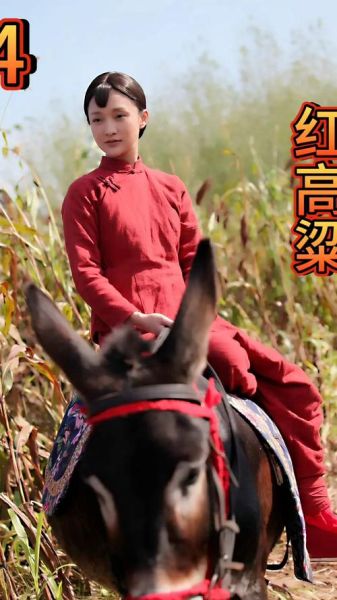 红高粱电视剧全集60集哪里看_红高粱60集剧情分集介绍-第1张图片-山城妙识