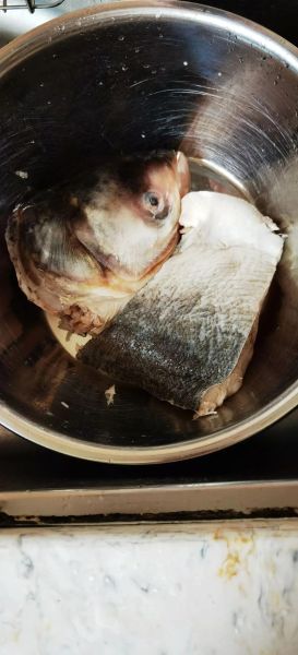 胖头鱼怎么做好吃_胖头鱼做法大全视频-第1张图片-山城妙识