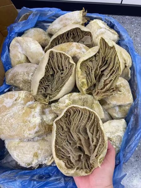 牛百叶的营养价值_牛百叶热量高吗-第1张图片-山城妙识 牛百叶的营养价值_牛百叶热量高吗-第1张图片-山城妙识