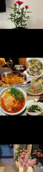 芝麻香油哪个牌子好吃_如何挑选正宗小磨香油-第1张图片-山城妙识