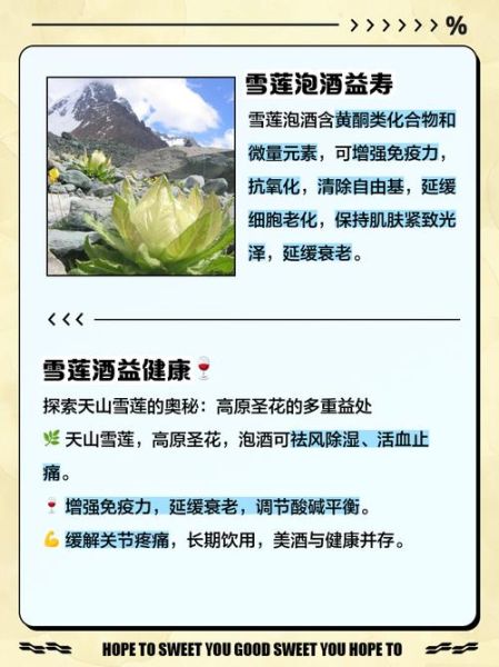 雪莲花民间秘方有哪些_雪莲花泡酒配方大全-第1张图片-山城妙识