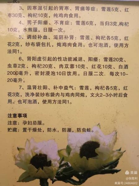 雪莲花民间秘方有哪些_雪莲花泡酒配方大全-第2张图片-山城妙识