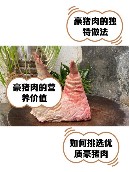豪猪肉的功效与作用_豪猪肉能治什么病-第1张图片-山城妙识 豪猪肉的功效与作用_豪猪肉能治什么病-第1张图片-山城妙识