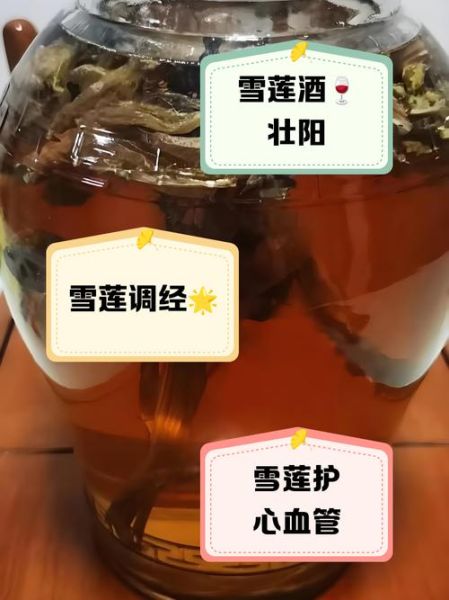 雪莲花民间秘方有哪些_雪莲花泡酒配方大全-第3张图片-山城妙识