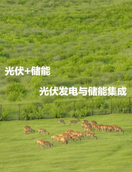 大全能源是做什么的_大全能源未来前景如何-第3张图片-山城妙识