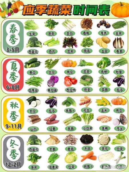 秋天有哪些时令蔬菜_秋季蔬菜怎么挑-第1张图片-山城妙识