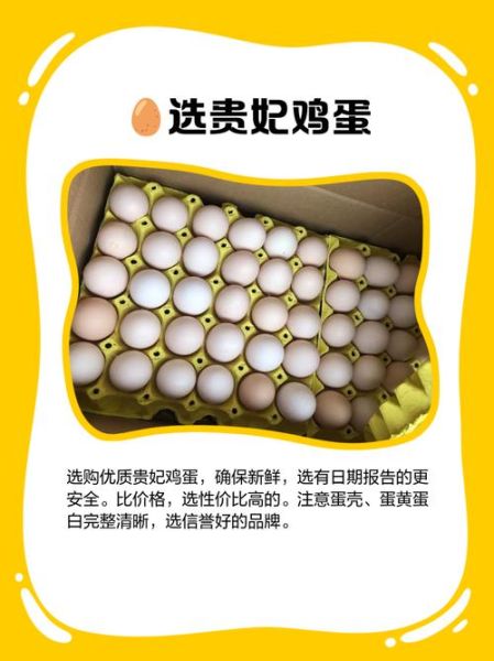 贵妃鸡蛋和普通鸡蛋有什么区别_营养价值对比-第1张图片-山城妙识