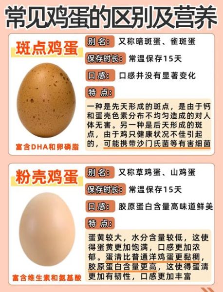 贵妃鸡蛋和普通鸡蛋有什么区别_营养价值对比-第3张图片-山城妙识