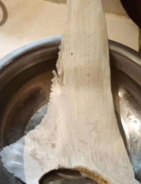 鱼翅怎么泡发成丝_鱼翅泡发多久才软-第1张图片-山城妙识 鱼翅怎么泡发成丝_鱼翅泡发多久才软-第1张图片-山城妙识