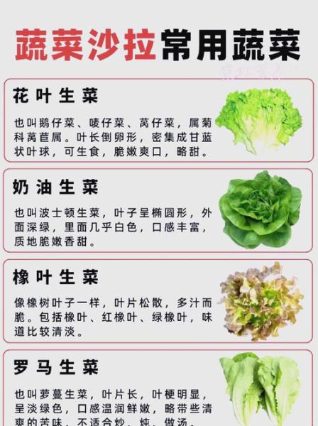 生菜的营养价值及功效_生菜不能和什么一起吃-第1张图片-山城妙识 生菜的营养价值及功效_生菜不能和什么一起吃-第1张图片-山城妙识