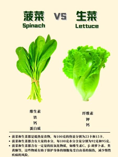 生菜的营养价值及功效_生菜不能和什么一起吃-第3张图片-山城妙识 生菜的营养价值及功效_生菜不能和什么一起吃-第3张图片-山城妙识