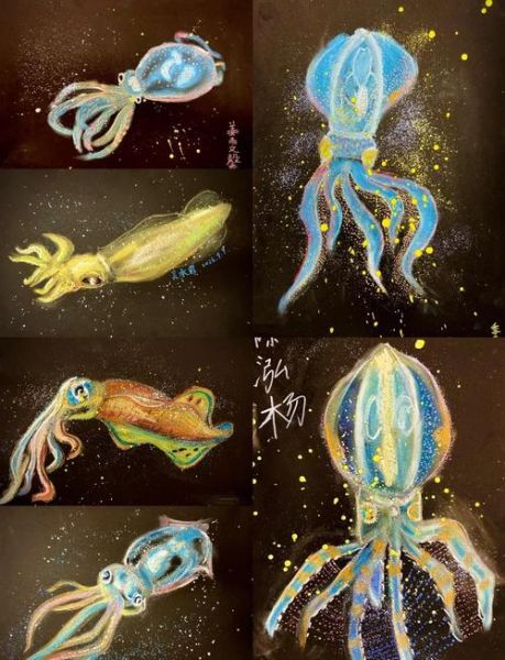 幽灵乌贼为什么发光_幽灵乌贼能活多久-第1张图片-山城妙识