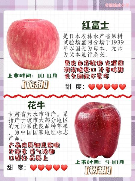 红肉苹果的营养价值_红肉苹果和普通苹果的区别-第2张图片-山城妙识