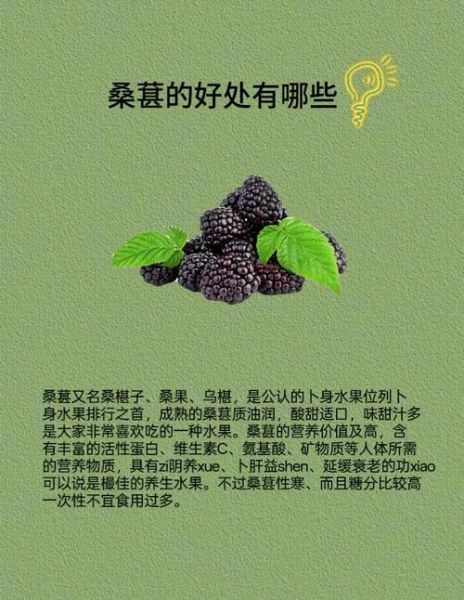 桑葚的功效与作用_桑葚怎么保存-第3张图片-山城妙识