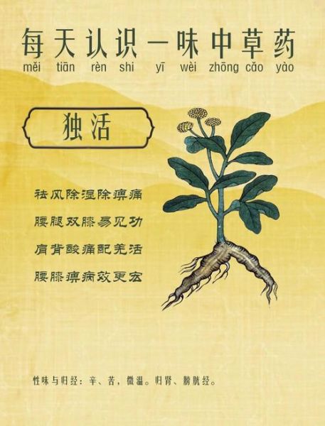 独活寄生汤的功效与作用_独活寄生汤方歌解析-第3张图片-山城妙识 独活寄生汤的功效与作用_独活寄生汤方歌解析-第3张图片-山城妙识