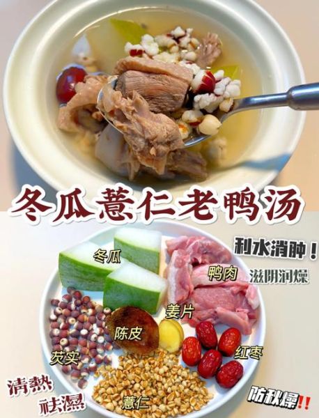 冬瓜老鸭汤的功效与作用_适合哪些人喝-第1张图片-山城妙识