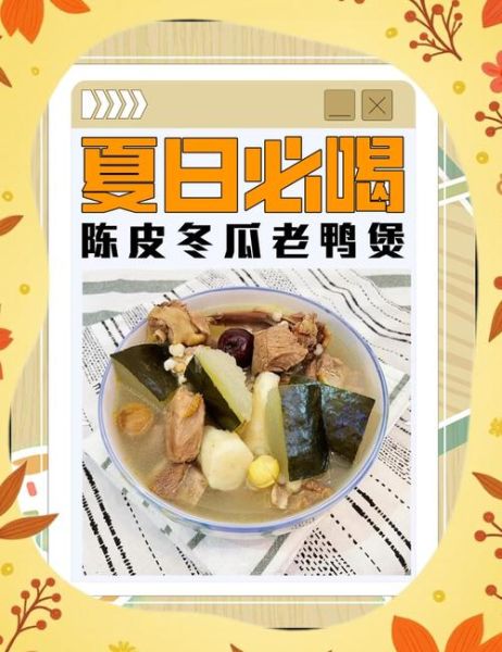 冬瓜老鸭汤的功效与作用_适合哪些人喝-第2张图片-山城妙识