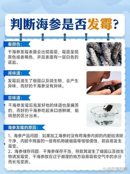 干海参发霉还能吃吗_如何辨别发霉干海参-第2张图片-山城妙识