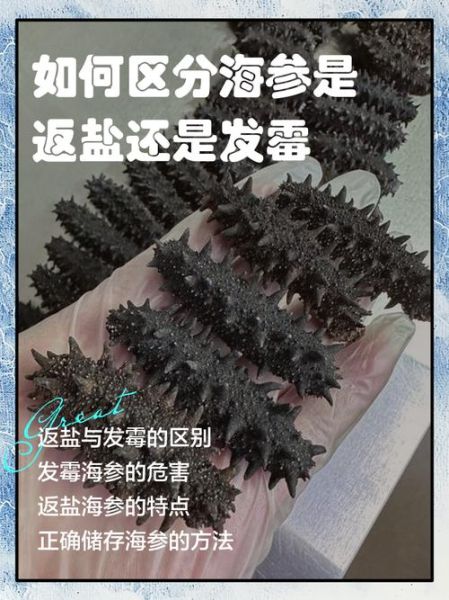 干海参发霉还能吃吗_如何辨别发霉干海参-第1张图片-山城妙识