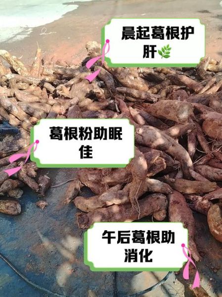 女性吃葛根的功效与作用_葛根粉怎么吃效果最好-第2张图片-山城妙识 女性吃葛根的功效与作用_葛根粉怎么吃效果最好-第2张图片-山城妙识