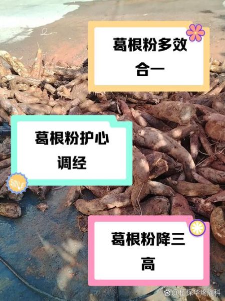 女性吃葛根的功效与作用_葛根粉怎么吃效果最好-第3张图片-山城妙识 女性吃葛根的功效与作用_葛根粉怎么吃效果最好-第3张图片-山城妙识